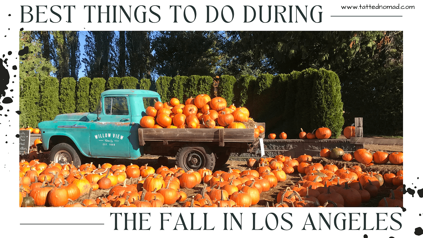 Best Things To Do During The Fall in Los Angeles