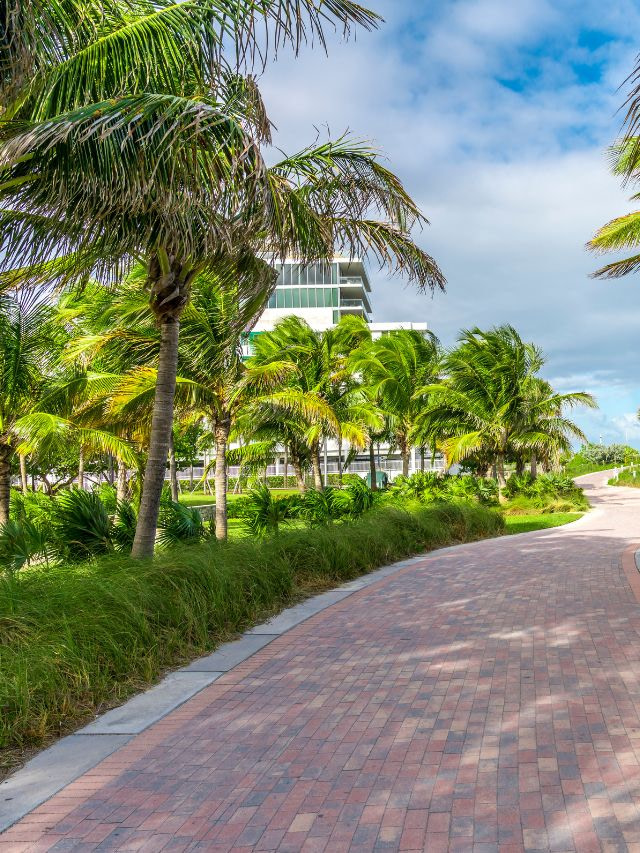 Amazing Parks to Visit in Miami, Florida